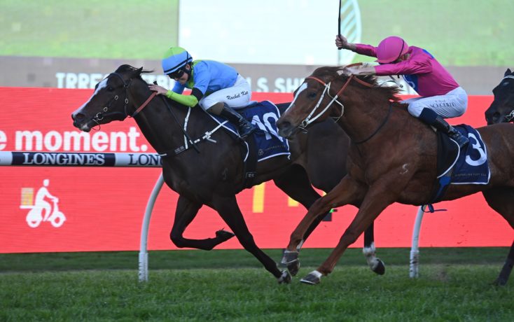 Takeover Target Stakes Field – 2023 | Just Horse Racing