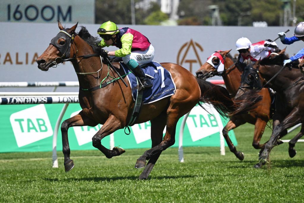 Veteran out to keep Festival Stakes rivals at Bay | Just Horse Racing