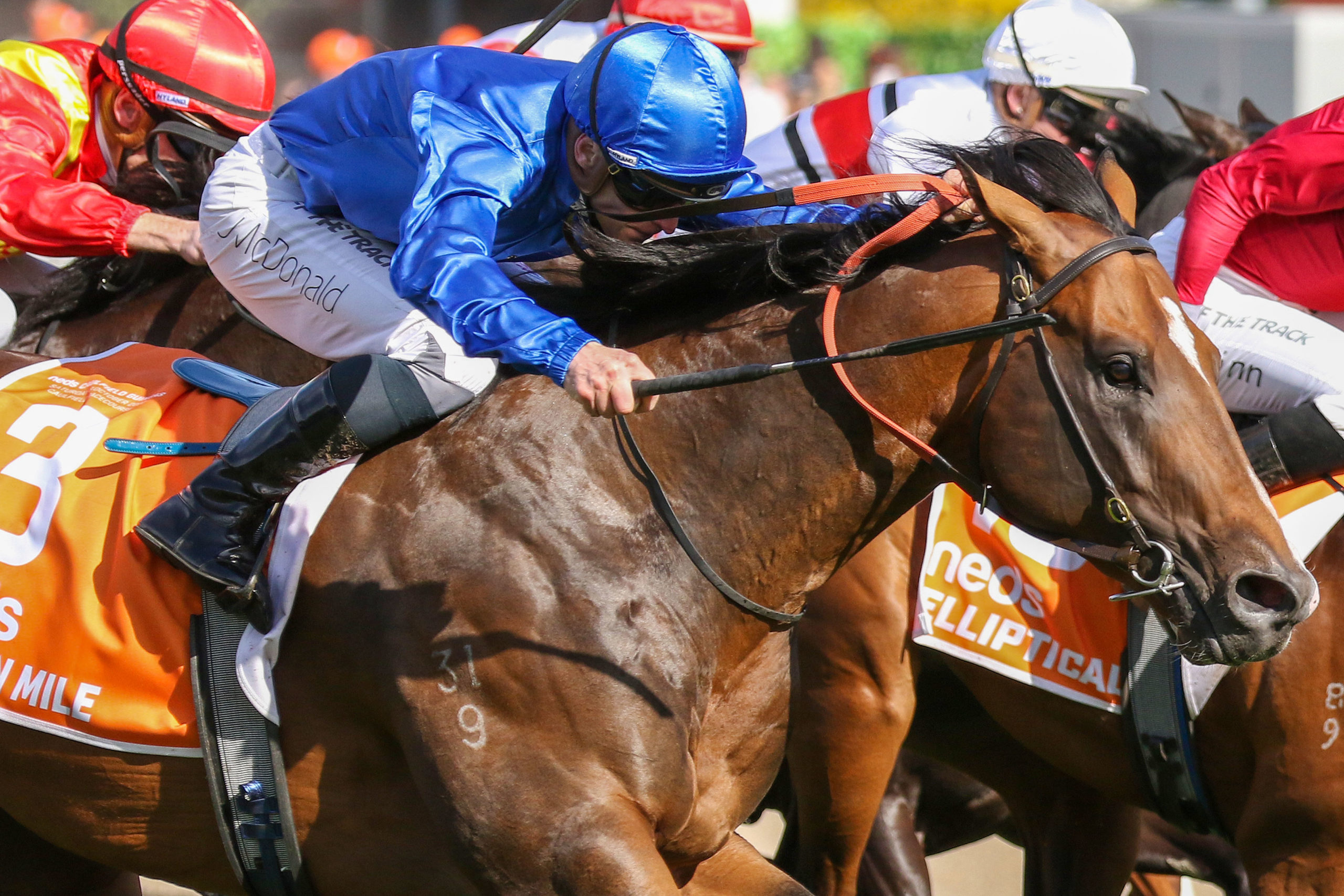 Gelded Golden Mile ‘flying’ ahead of return | Just Horse Racing
