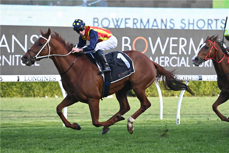 Champion sprinter still odds on for The Everest | Just Horse Racing