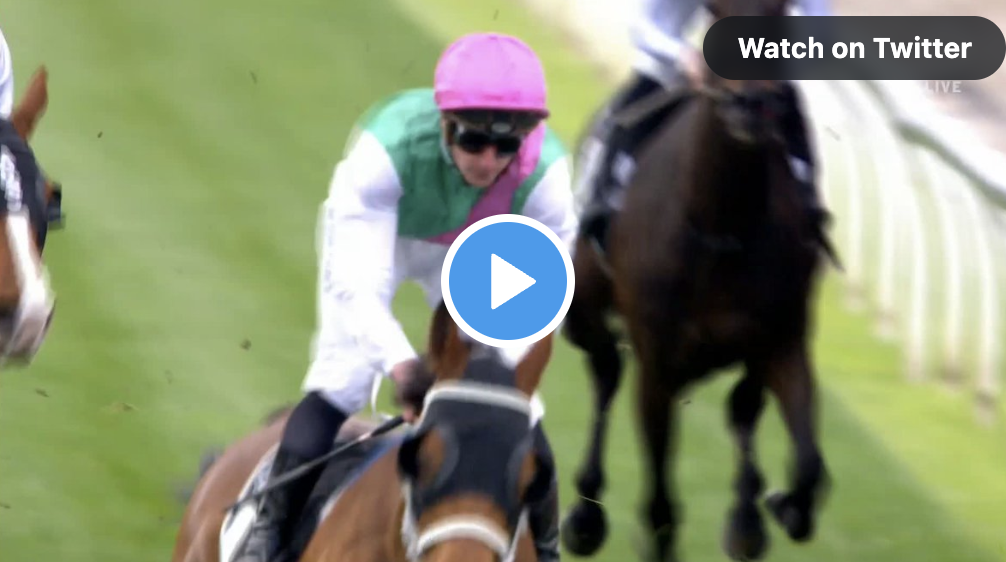 Lexus Archer Stakes results and replay – 2022 | Just Horse Racing