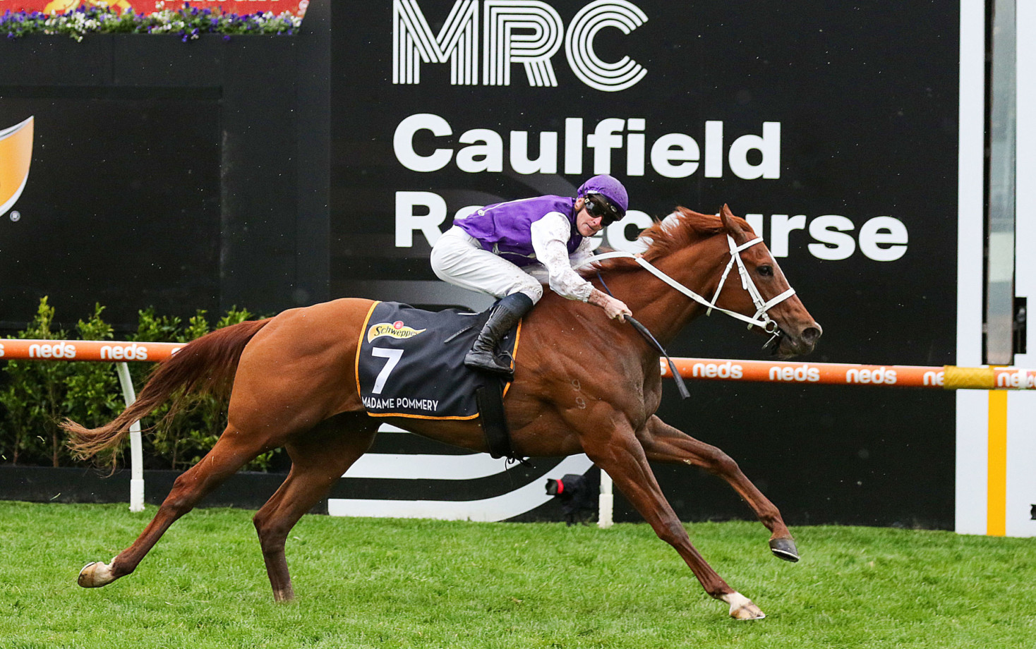 Thousand Guineas 2022 – Race Result, Replay and Horse Ratings | Just ...