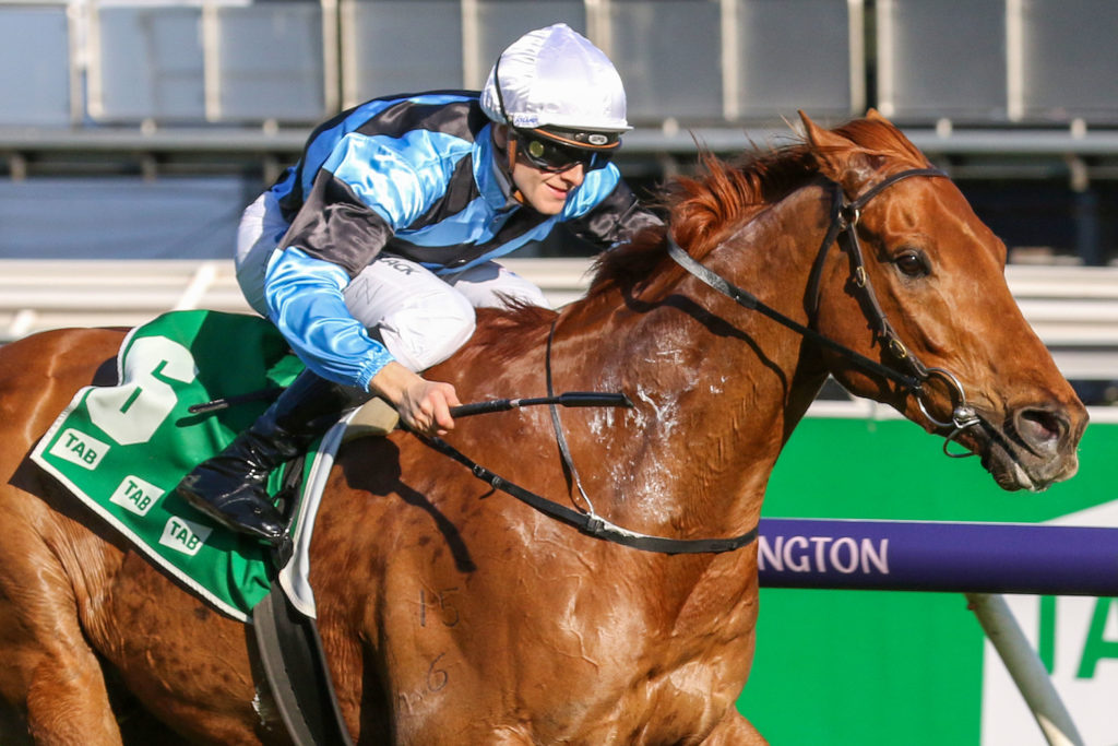 Romans ready to strike at Flemington | Just Horse Racing