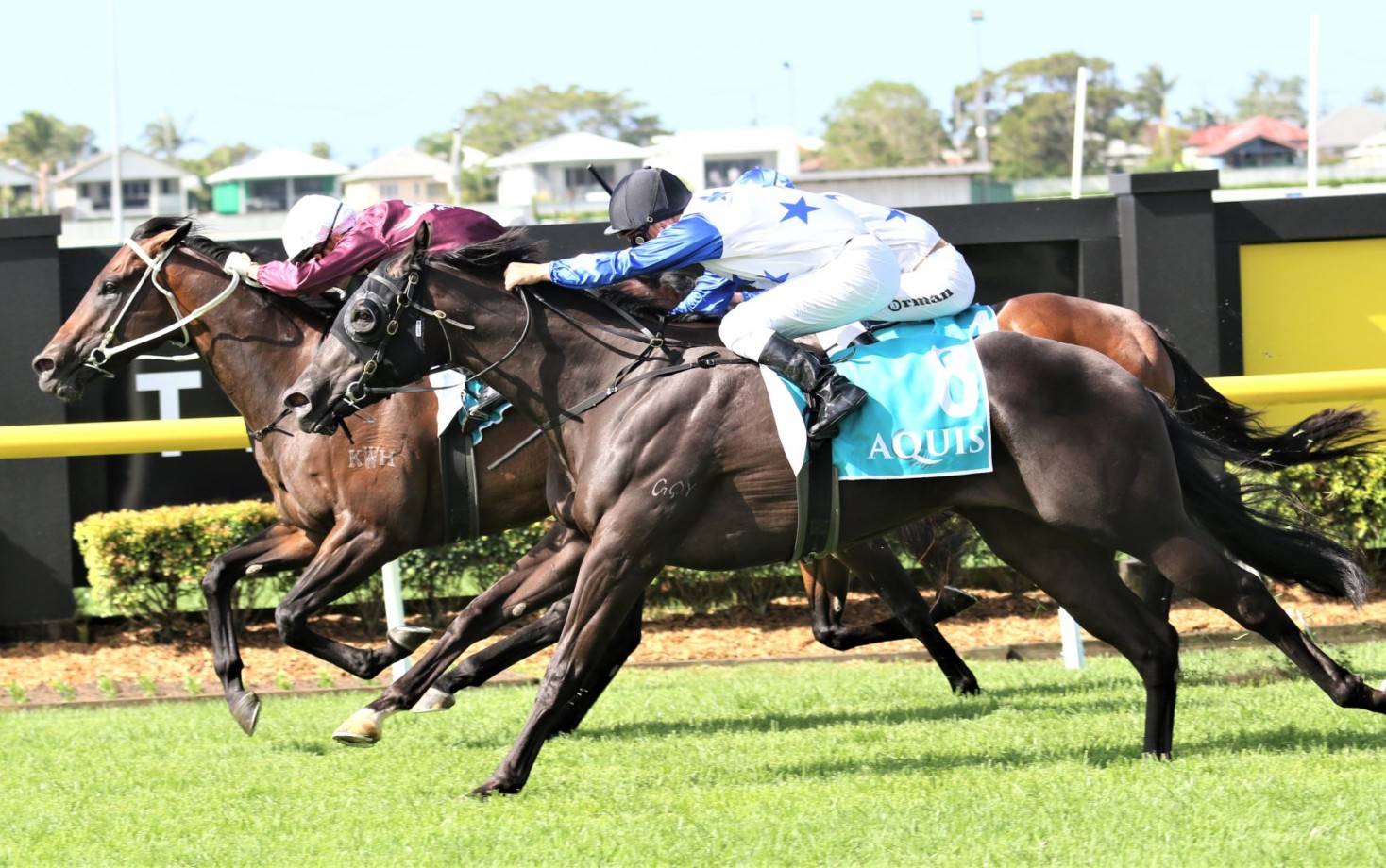 Max Whitby’s delight in The Archer victory | Just Horse Racing