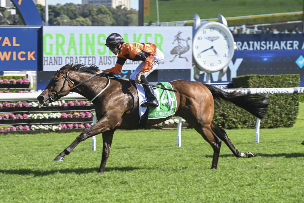 Annabel Neasham keeping close eye on Sunshine | Just Horse Racing