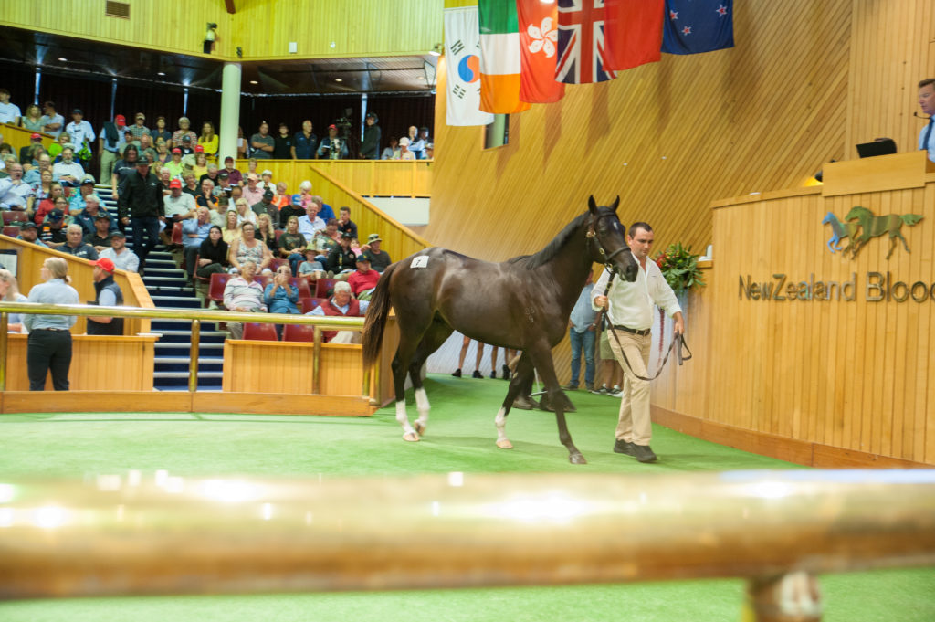 As Pencarrow says, It’s Karaka 2023 | Just Horse Racing