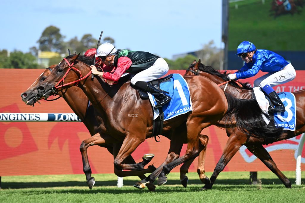 Mariamia gives Gibbons treble at Rosehill | Just Horse Racing