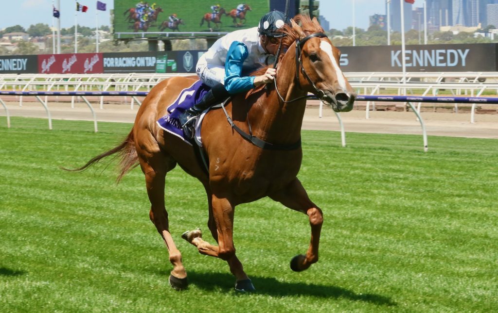 Brian McGrath chasing more city riches | Just Horse Racing