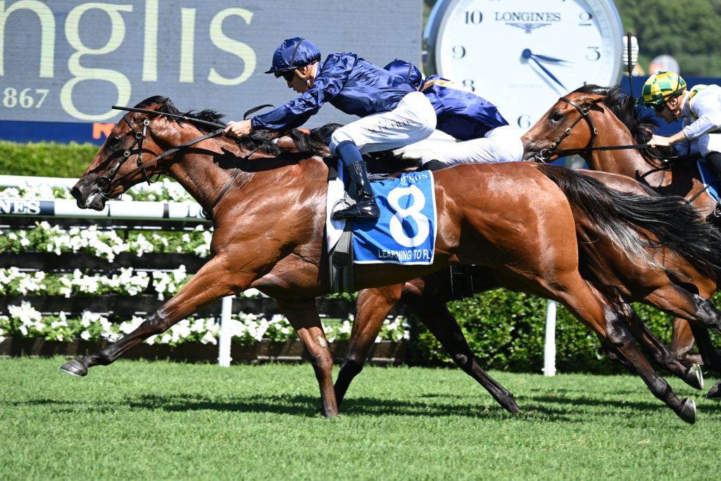 Learning To Fly heads early odds in the Surround Stakes | Just Horse Racing