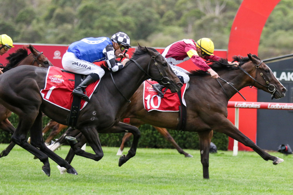 Memsie Stakes pair get look at Caulfield | Just Horse Racing
