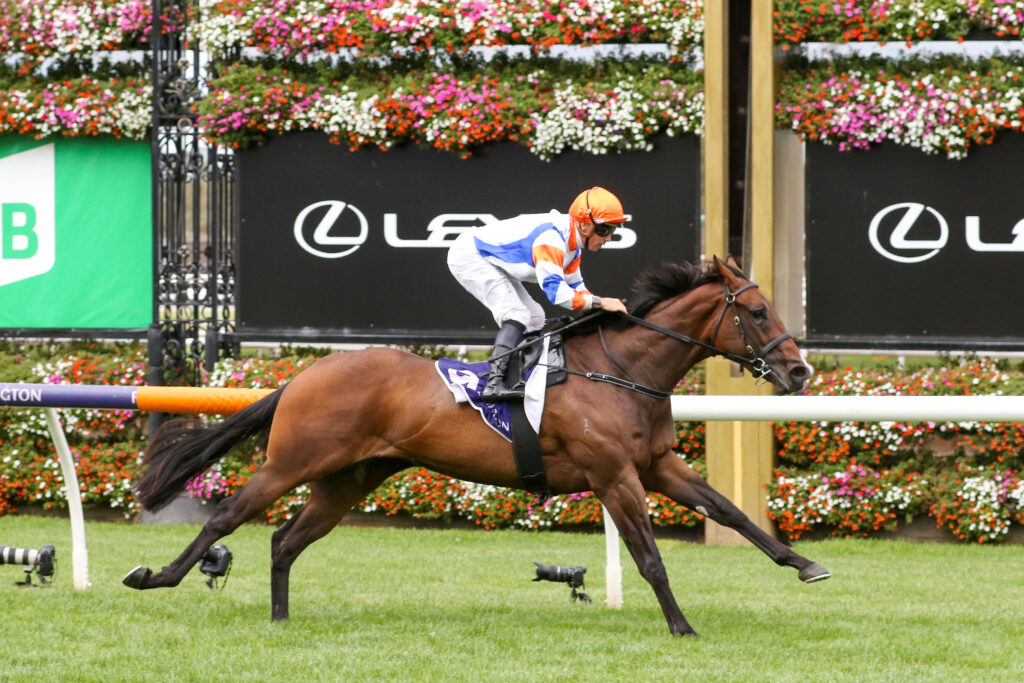 Nic shows who is the Boss | Just Horse Racing