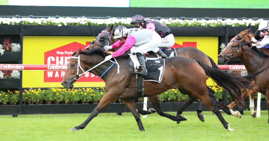 Snake Gully Cup Field & Odds – 2025 | Just Horse Racing