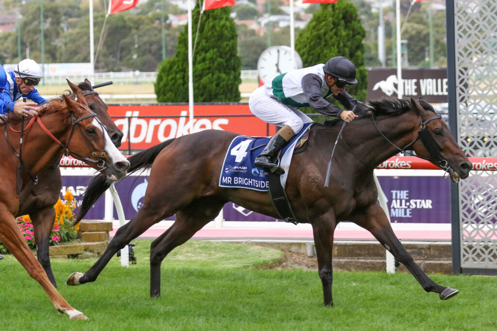 Small field for Makybe Diva Stakes | Just Horse Racing