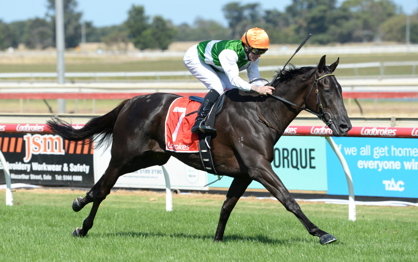 Launceston Cup Field & Odds – 2025 | Just Horse Racing