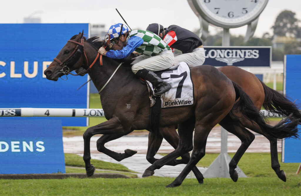 Smith has plenty of Time for latest import | Just Horse Racing
