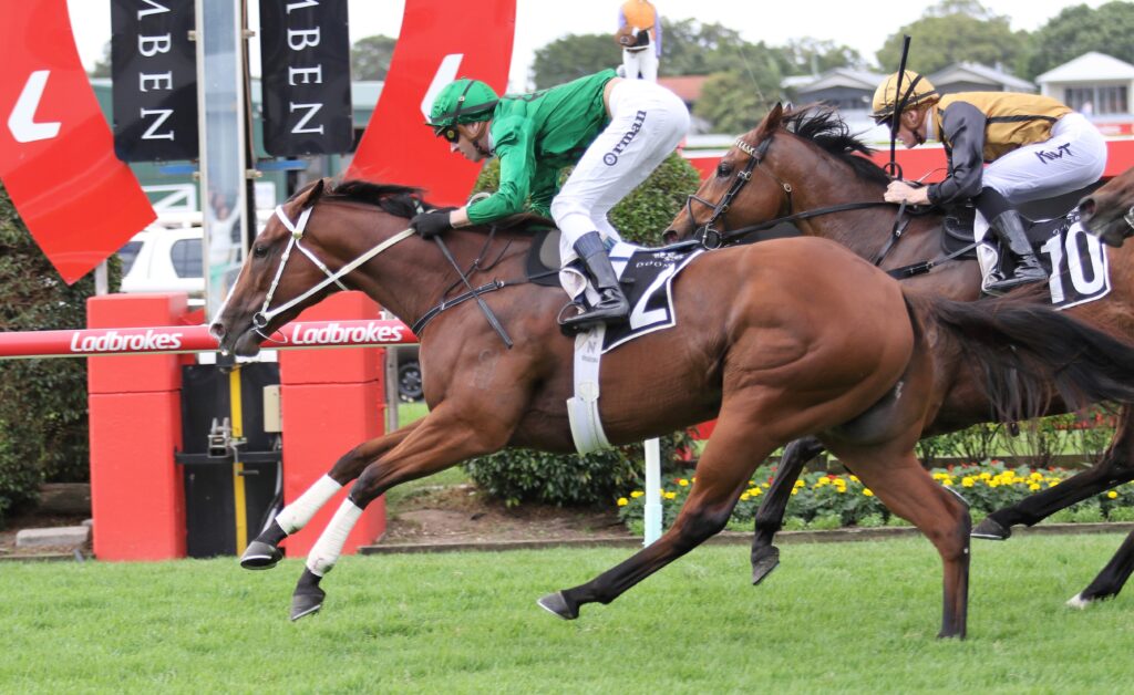 Ramornie win won’t come Easy | Just Horse Racing