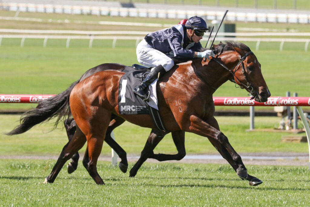 Lightning next stop for Kennewell’s colt | Just Horse Racing