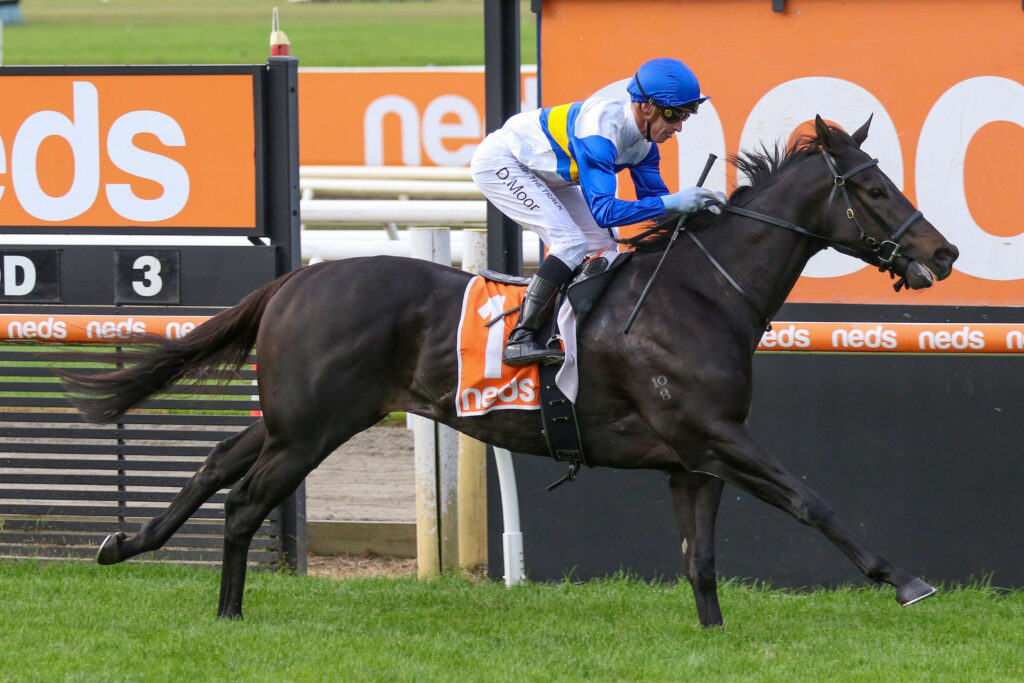 Jigsaw to chase second Apache Cat Classic | Just Horse Racing