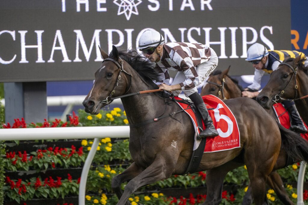 Timing right for Begg’s Magic mare | Just Horse Racing