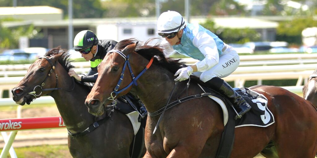 Mishani Sniper targets The Archer | Just Horse Racing