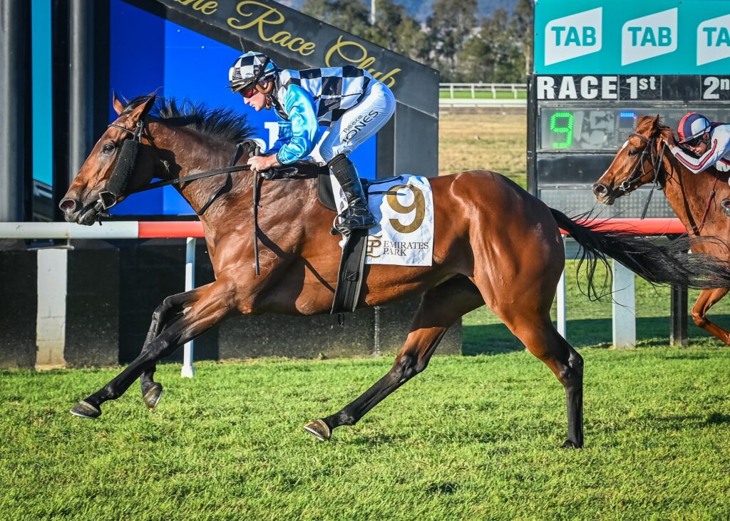 Patient owners finally reap Prophets | Just Horse Racing