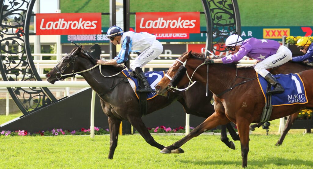 G1 Tatts Tiara beckons for Foxy Frida | Just Horse Racing