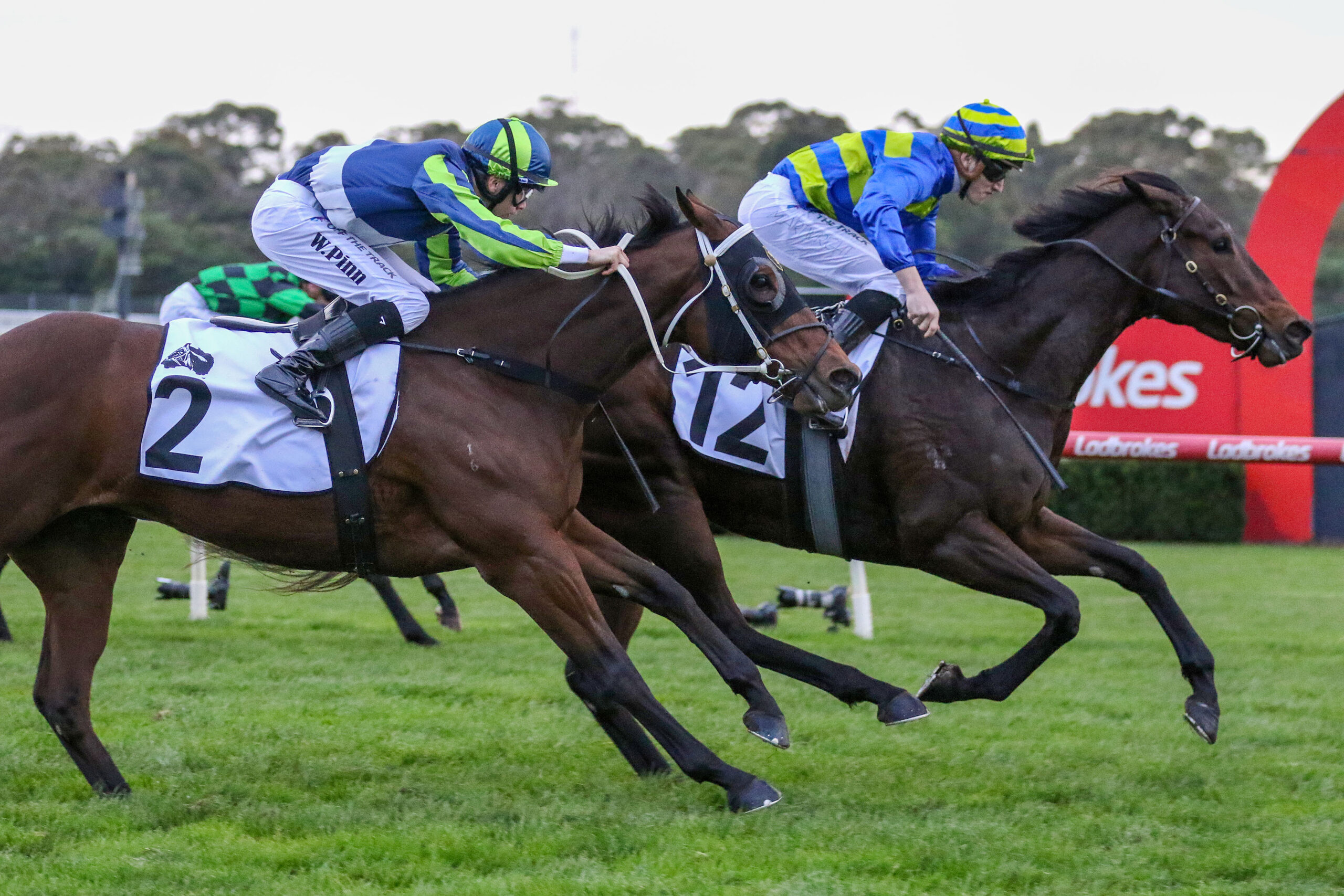 Pacific Ruby_10-06-2023_WIN_Sandown_8__825 | Just Horse Racing