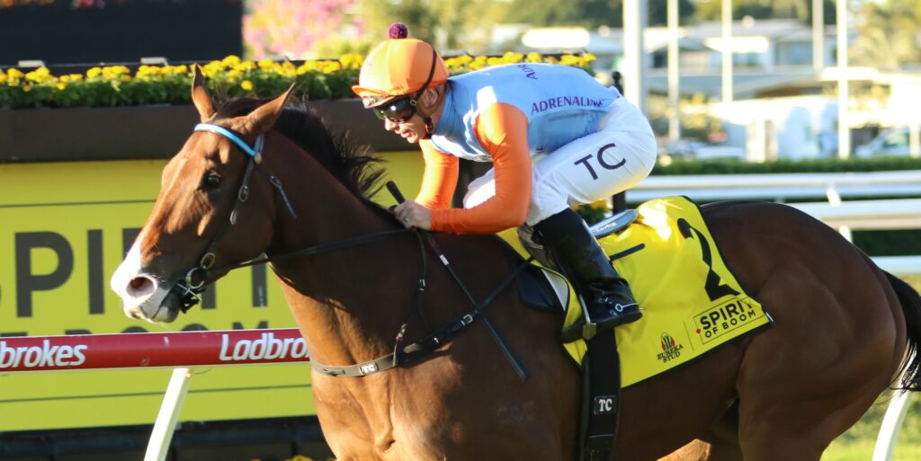 Michael Rodd hoping to be back with a Boom