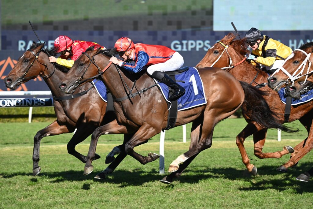 Gibbons extends title lead over Lloyd | Just Horse Racing