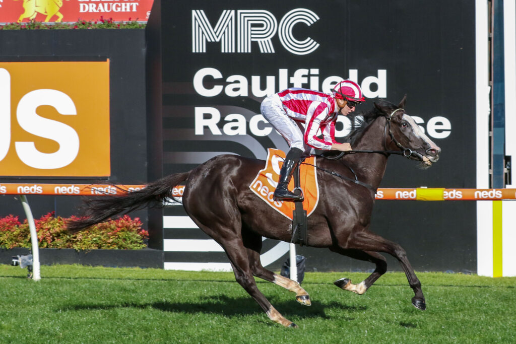 Morning signals new dawn for Eurell | Just Horse Racing