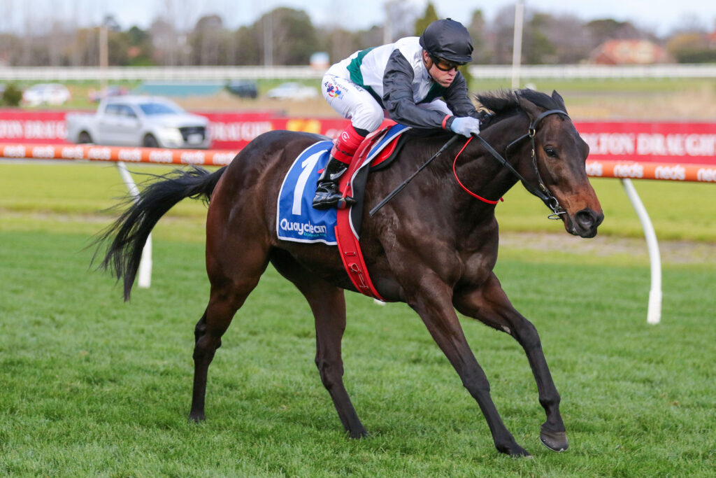 Fitter Brightside for Memsie Stakes shot