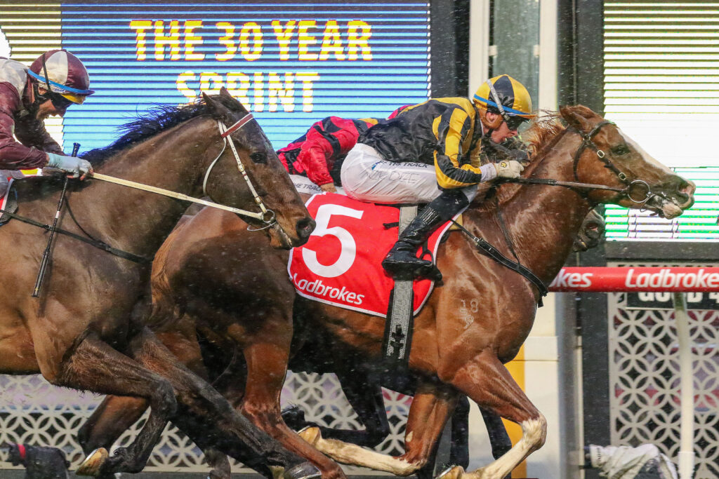 Sweet Ride gets a sweet run in messy race | Just Horse Racing