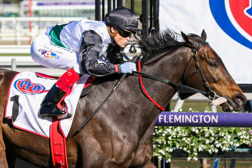 Makybe Diva Stakes – What the jockeys said | Just Horse Racing