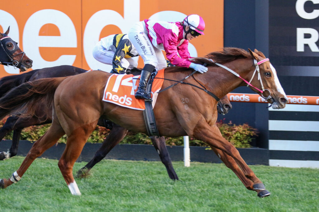 Luke Fernie devoted to Railway Stakes challenge | Just Horse Racing