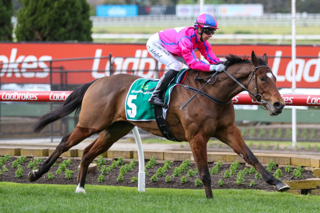 Three-pronged Sir John Monash Stakes assault | Just Horse Racing