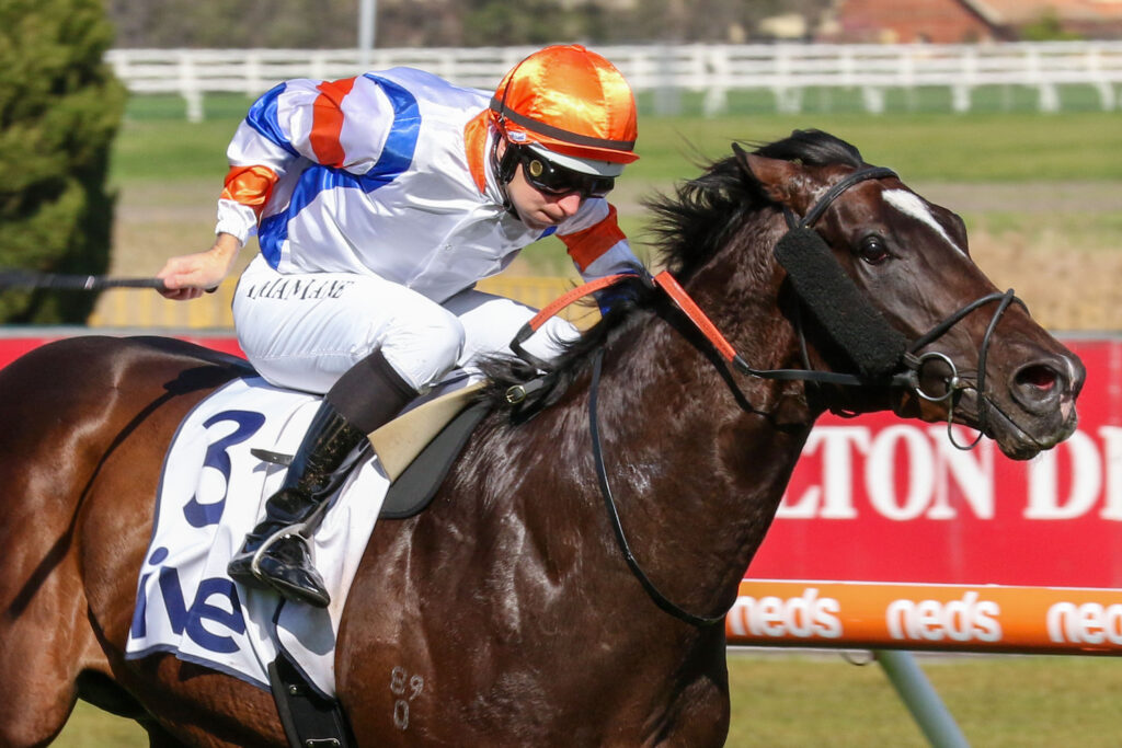 Veight chases Group 1 in George Ryder Stakes | Just Horse Racing
