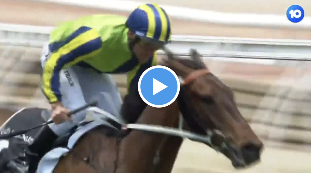 Archer Stakes results and replay – 2023 | Just Horse Racing