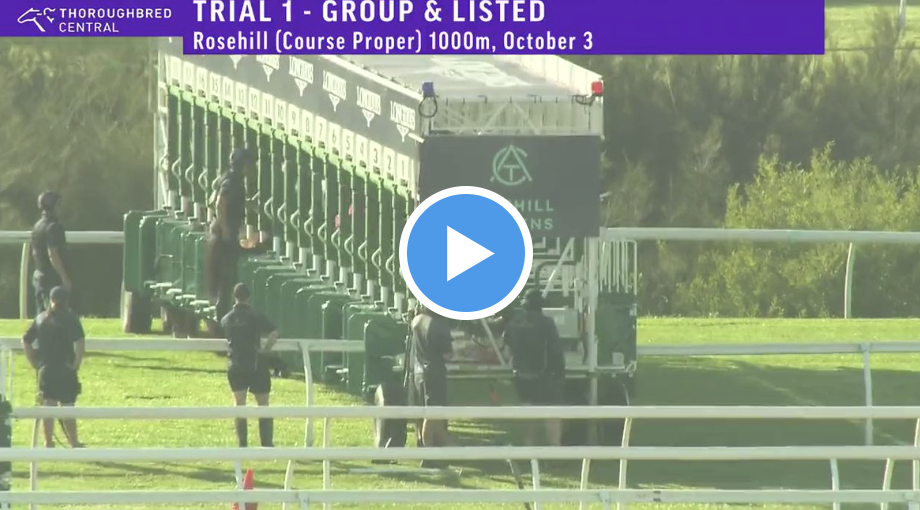 Watch 📺 Overpass beats Mazu in The Everest trial tune up | Just Horse ...