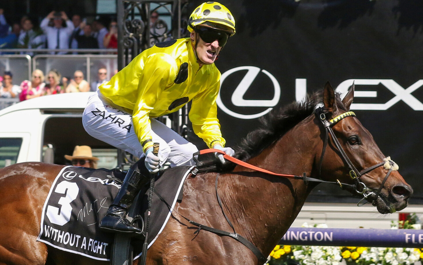 Just Horse Racing - Today's Tips, Australian News & Betting