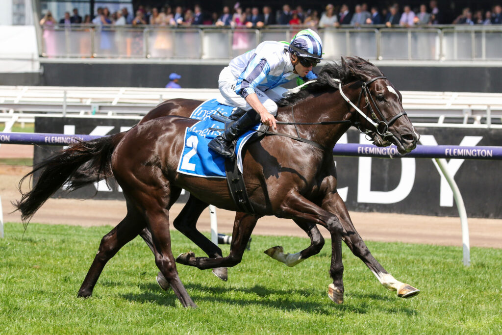 First Sydney trip for Foxy Frida | Just Horse Racing