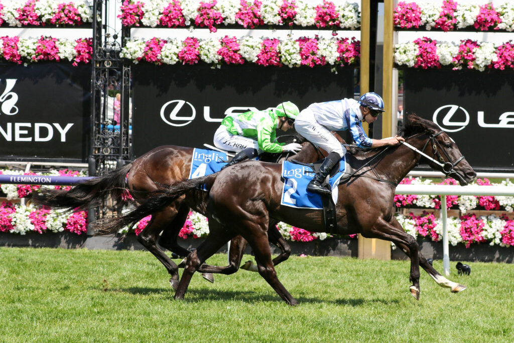 Fresh Foxy ready for Flemington return | Just Horse Racing