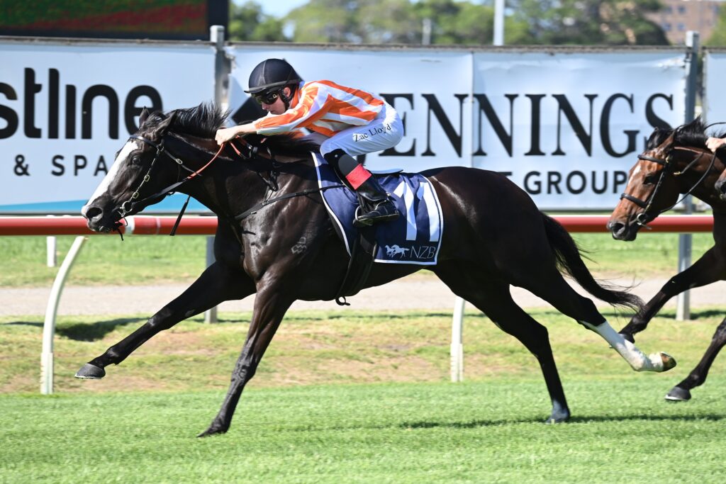 Genzano notches Gavranich’s first group victory | Just Horse Racing