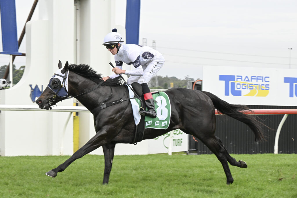 In-form Insurrection to go the distance in Razor Sharp Handicap | Just ...