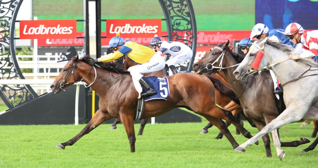 Country Championships Series kicks off at Lismore | Just Horse Racing