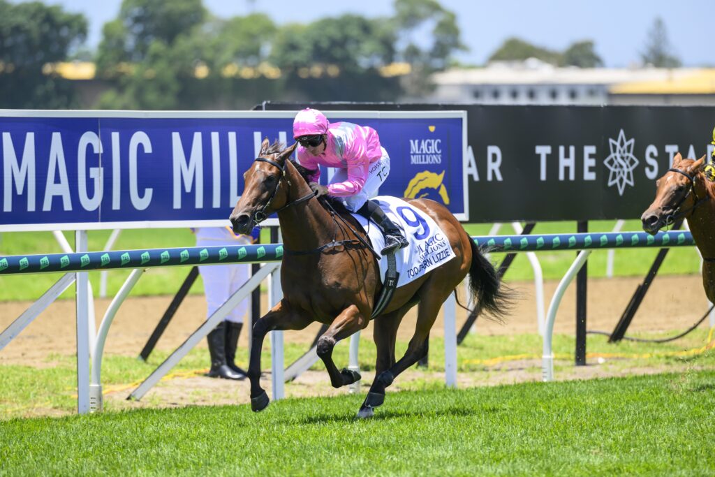 Lizzie’s Too Darn good on debut | Just Horse Racing