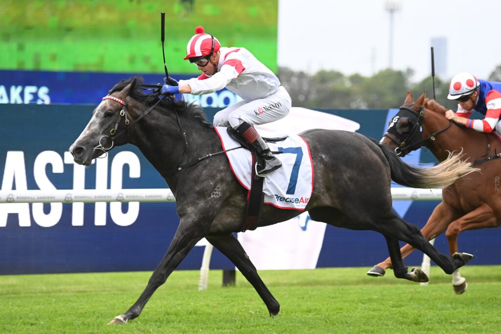 McEvoy, Bridge hunt first G1 together | Just Horse Racing