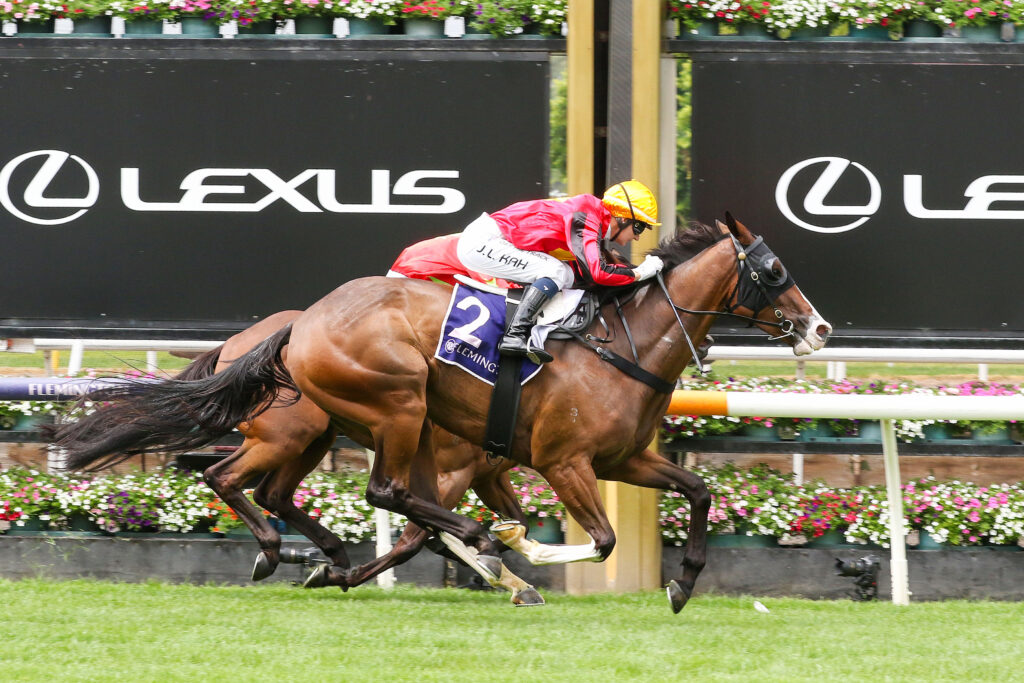 El Soleado back in Laing name | Just Horse Racing