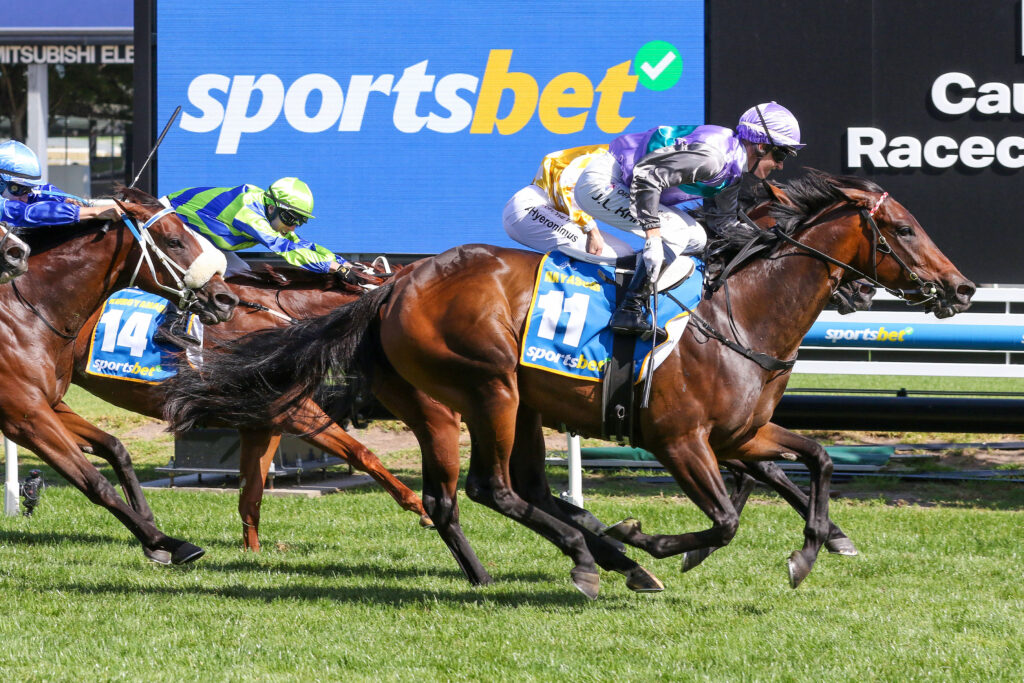 Clinton McDonald mourns Hayasugi | Just Horse Racing