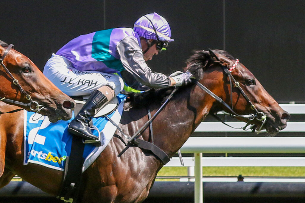 Hayasugi to chase rare Blue Diamond treble | Just Horse Racing