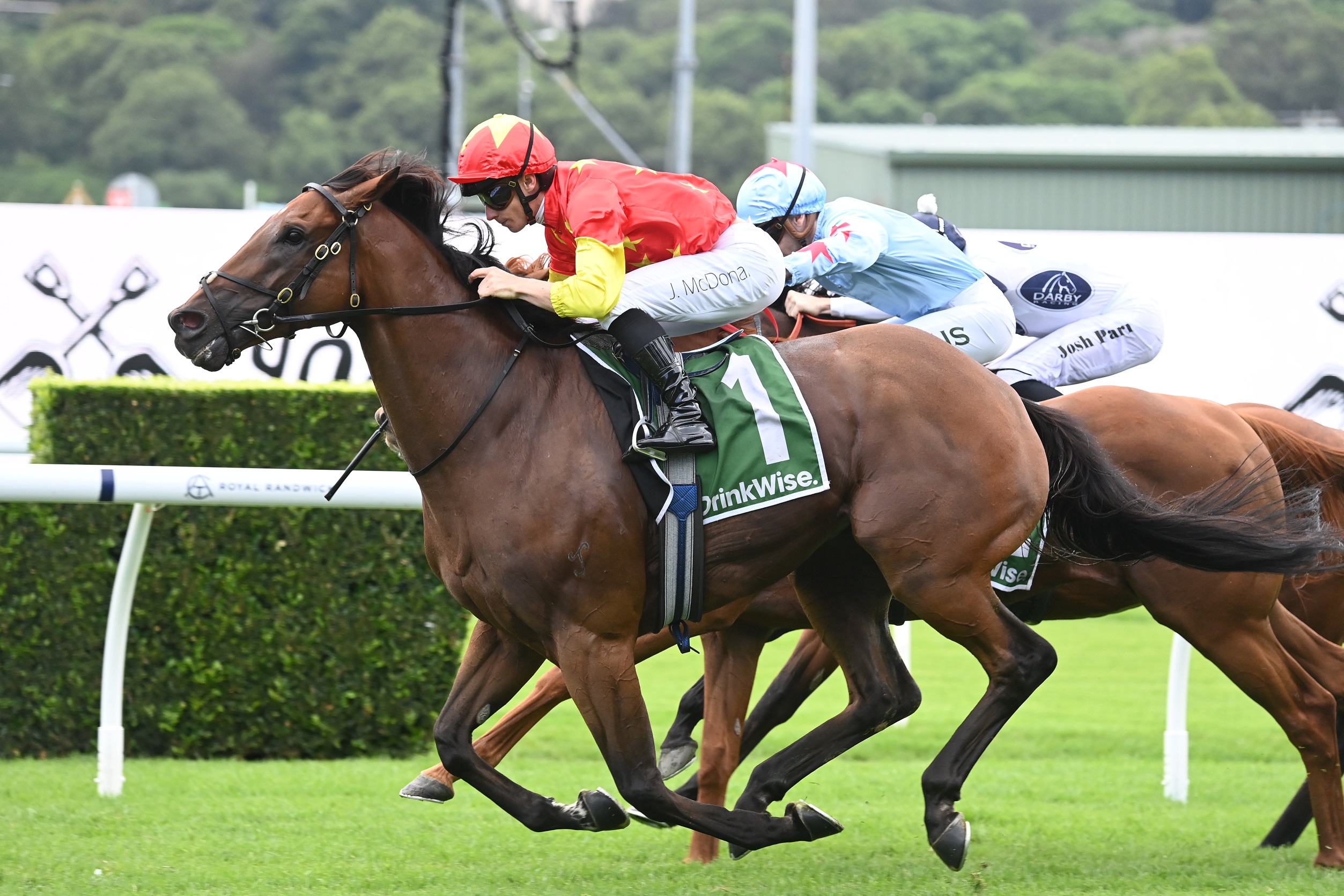 Ortensia Stakes nominations – 2026 | Just Horse Racing